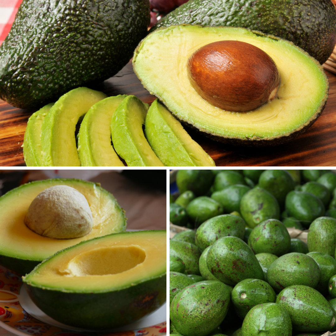 Avocadowoche: Genuss, Vielfalt und Nachhaltigkeit im Fokus ...