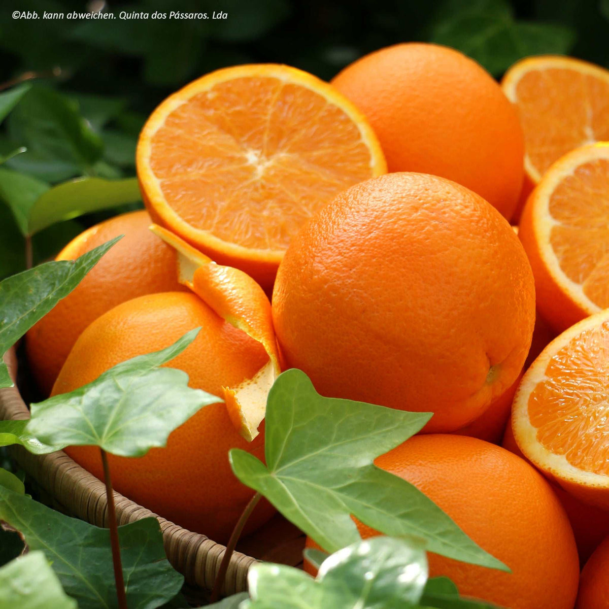 Navel oranges sun-ripened natural without preservation Portugal ...