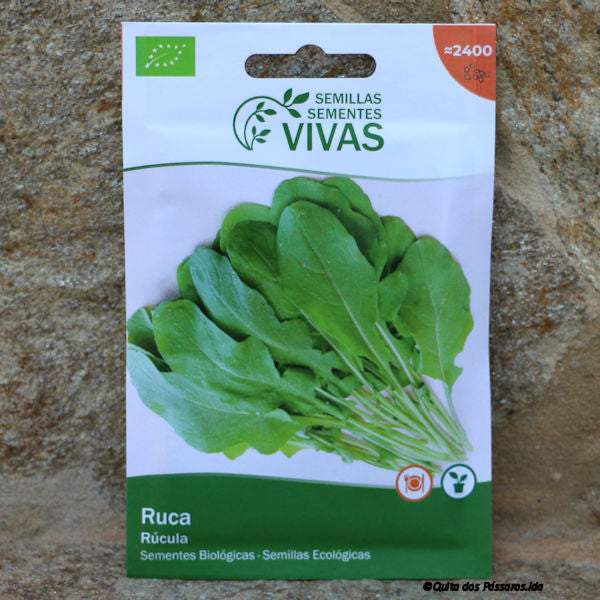 Rucola Ruca Saatgut – Schnell wachsendes, würziges Salatgemüse ...