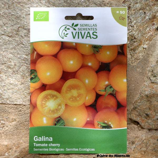 Tomato Galina seeds – Orangenfarm Portugal